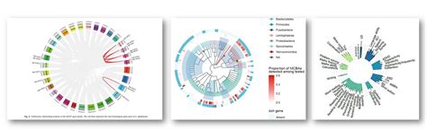 R语言绘图 双y轴截断图 知乎