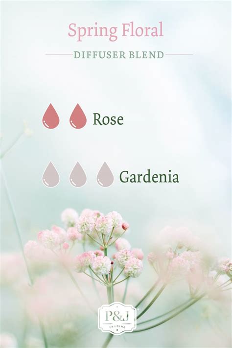 March Diffuser Blend Pandj Trading Essential Oil Diffuser Blends