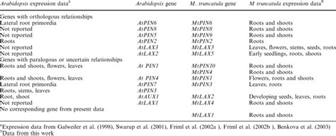 Summary Of Arabidopsism Truncatula Pin And Lax Gene Relationships
