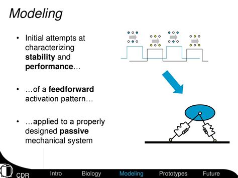 Robust Dynamic Locomotion Through Feedforward Preflex Interaction Ppt