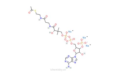 CAS 102029 73 2 乙酰辅酶A钠盐 爱化学