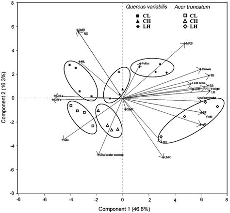 Principal Component Biplots Based On Morphological And Physiological Download Scientific