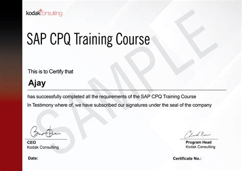 Learn Sap Cpi Training Course Expert Training From Kodak Consulting