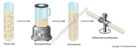 Biology
