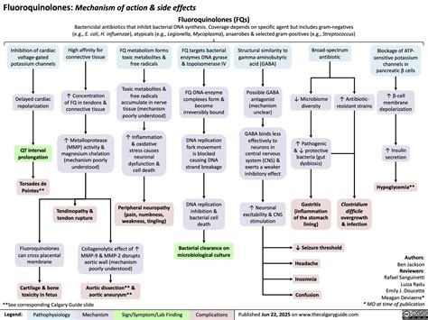 Fluoroquinolones Calgary Guidecalgary Guide
