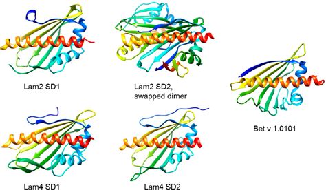 Figure 1 From The History And Science Of The Major Birch Pollen Allergen Bet V 1 Semantic Scholar
