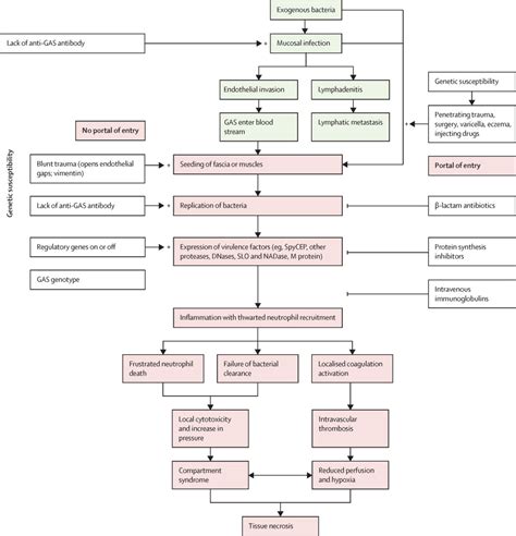 Necrotising Soft Tissue Infections The Lancet Infectious 51 Off