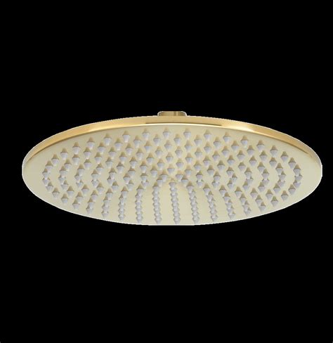 Brass Shower Heads Buy Brushed Brass Showers Abi Interiors
