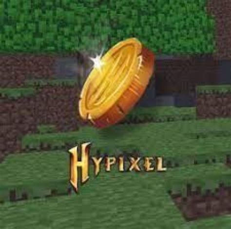 Hypixel Skyblock Coins Video Gaming Gaming Accessories In Game