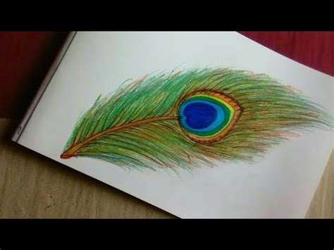 How To Draw Beautiful Peacock Feather YouTube