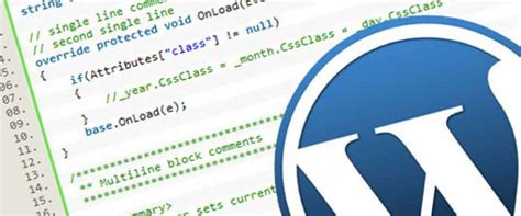 The Effective Code Snippets For WordPress