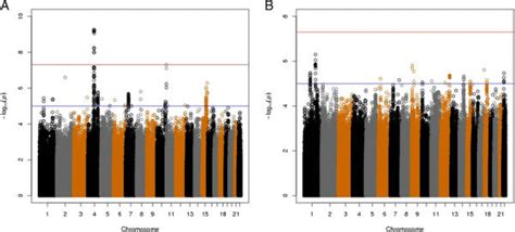 Manhattan Plots Of Log 10 P Values For Meta Analysis Of Three Cohorts