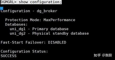 Oracle 11g Dataguard 搭建教程 知乎