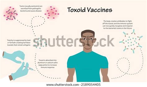 Toxoid Vaccine Infographic Vector Illustration Diagram Stock Vector Royalty Free 2189054405