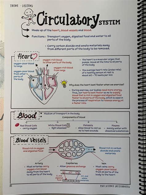 Psle Science Sketchnotes Hobbies And Toys Books And Magazines Assessment Psle Science Sketchnotes Hobbies And Toys Books And Magazines Assessment