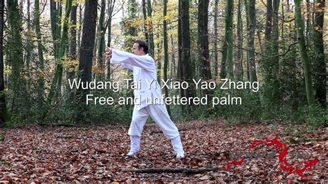 Wudang Tai Yi Xiao Yao Zhang Free And Unfettered Palm Youtube