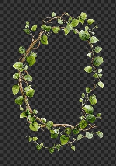 Png Natural Vine Frame Illustration Free Png Rawpixel