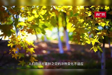 处暑丨夏未央 天渐凉