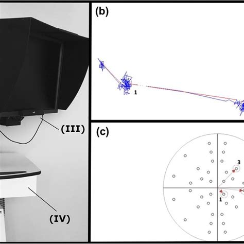 Pdf The Assessment Of Visual Fields In Infants Using Saccadic Vector