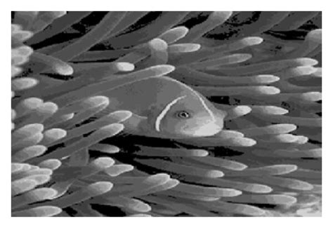 Segmentation Results In 9 Clusterslevels Of Image “210088” After