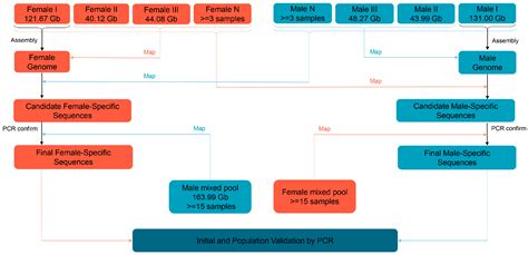 Identification Of Sex Specific Markers And Candidate Genes Using Wgs