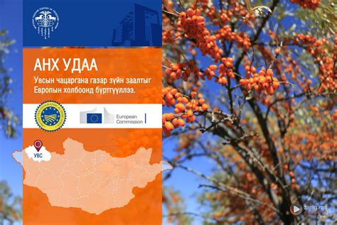 Олон улсын газар зүйн заалтад Увсын чацарганыг бүртгэжээ