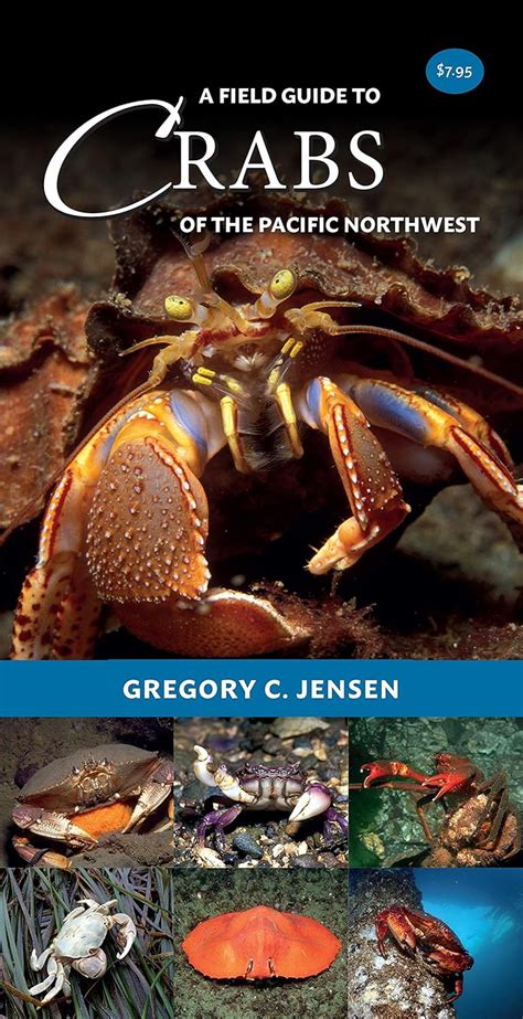 Buy A Field Guide To Crabs Of The Pacific Northwest Book Online At Low