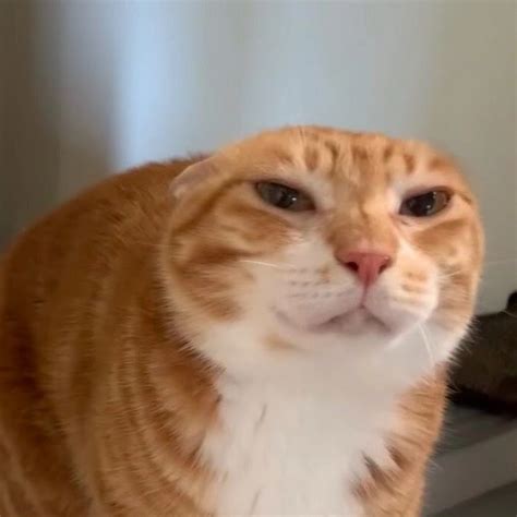 Proton Accelerator Youtube