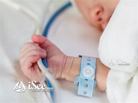 ЦЕГ Золбин муур нярайн хамрыг идсэний улмаас амиа алдсан гэх хэргийг бүтэлтийн улмаас нас