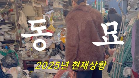 2025 동묘 Vlog L 10만원 가지고 동묘가면 몇개나 살까 동묘 현실 L 아크테릭스 L 빈티지샵 추천 L 그릇무덤 L
