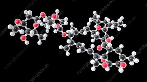 Ivermectin Drug Molecular Model Stock Image C057 3139 Science Photo Library