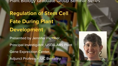 Plant Biology Graduate Group Seminar Series Regulation Of Stem Cell