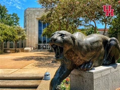 Sairam Nomula On Linkedin Gocoogs Uh 18 Comments