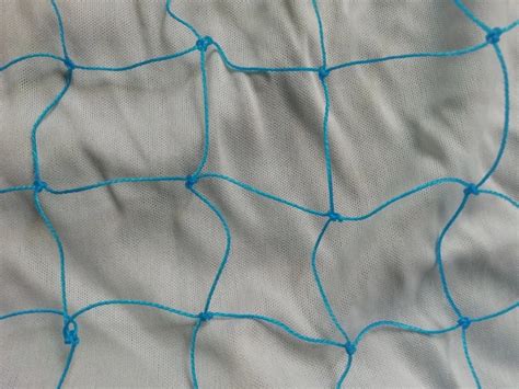 Nylone Blue Anti Bird Net At Rs 2 Sq Ft In Meerut Id 27219180830