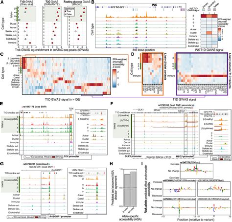 Integrative Single Cell Multi Omics Profiling Of Human Pancreatic