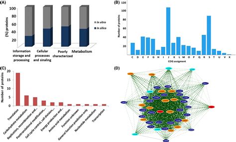 Label Free Quantification Proteomics Service Mtoz Biolabs