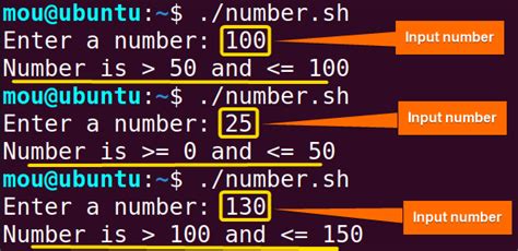 Case Statement In Bash LinuxSimply