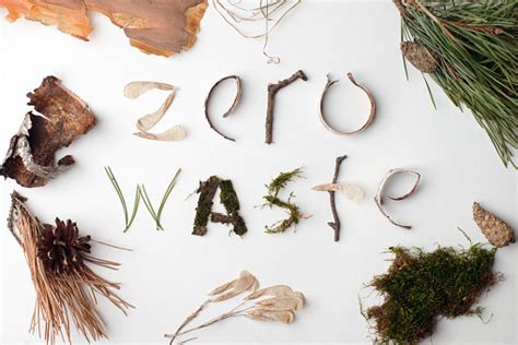 흰색 배경 환경 친화적인 생태 레터링 지구의 날 창조적 인 아이디어에 숲 탈 창에서 제로 폐기물 자연 유기 텍스트 0에 대한 스톡 사진 및 기타 이미지 Istock