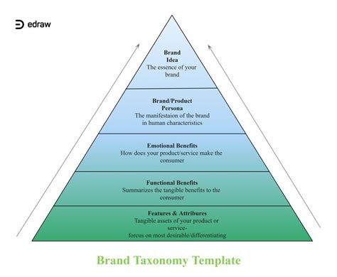 Brand Taxonomy Template EdrawMax Editable Template