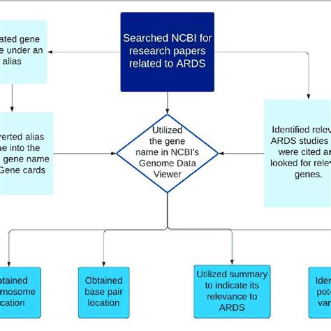 Diagram Showing The Workflow Steps Data Collection And Primary Download Scientific Diagram