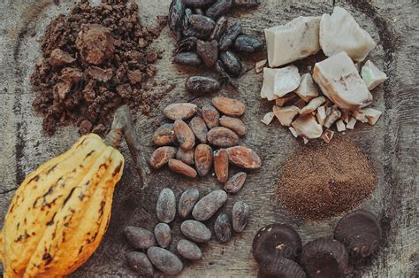 Chocolate Making Process Overhead View Of The Assorted Cocoa Beans And Cacao In Different