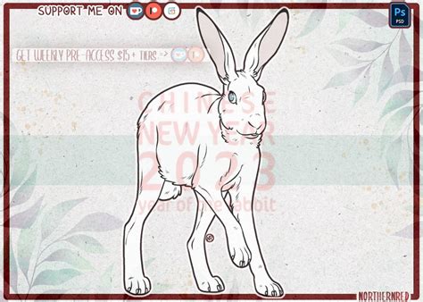 Daily Rabbit Lineart By Northernred On Deviantart