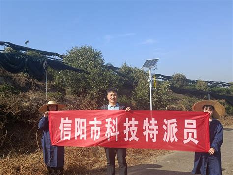 我院科技特派员和茶园病虫害监测预警与绿色防控科技服务团队开展科技服务 信阳农林学院农学院
