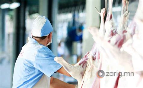 Махны экспортын зөвшөөрлийг долдугаар сарын нэгнээс цахимаар олгож эхэлнэ