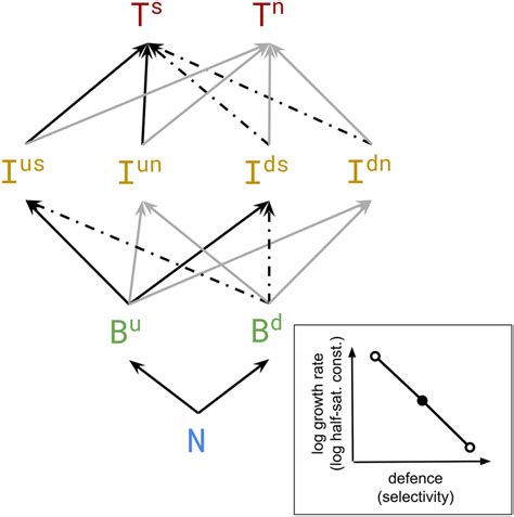 An Illustration Of The Tritrophic Food Web Investigated Here Nutrients Download Scientific