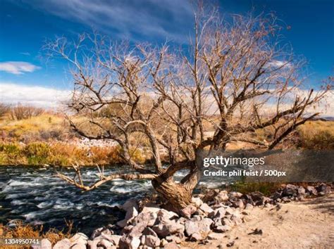 A Wiesner Photos And Premium High Res Pictures Getty Images