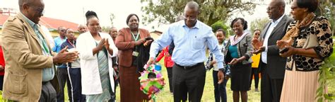Query Management Information System Qmis Knec