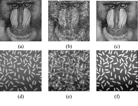 Figure 10 From Suppressing Defocus Noise With U Net In Optical Scanning Holography Semantic