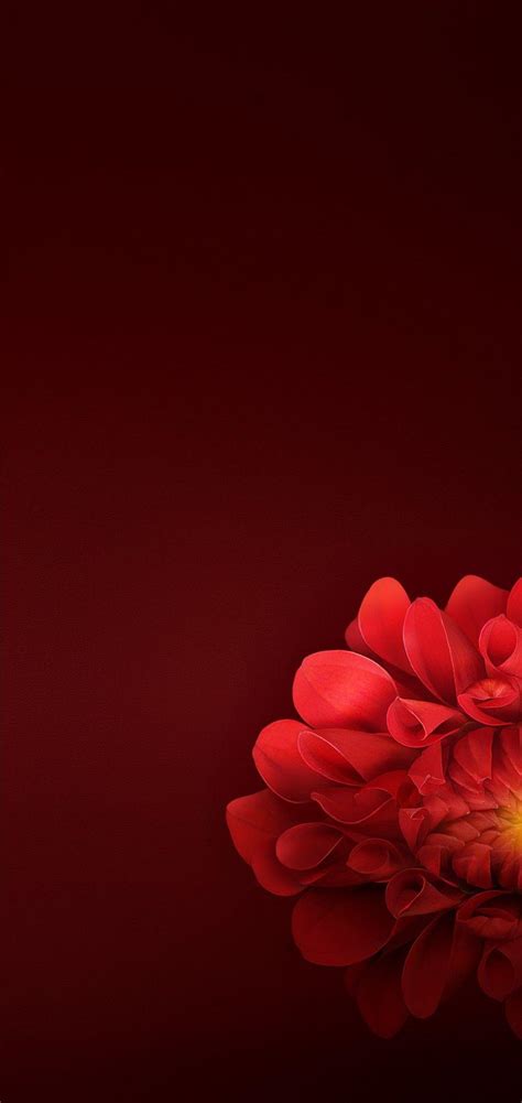 Oppo F7 Wallpapers Wallpaper Cave Oppo F7 Wallpapers Wallpaper Cave