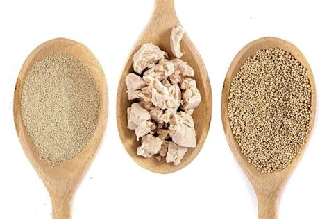 Questions You Need To Know About Yeast Extract Hiyeast